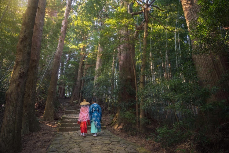 Kumano Kodo - The Complete Guide to Hiking Japan’s Great Pilgrimage ...