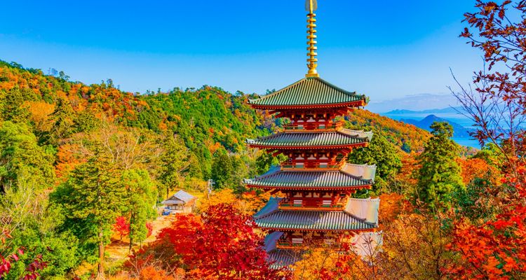 10 Reasons to Visit Japan in the Autumn | tsunagu Japan