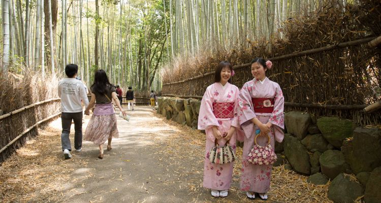 14 Sights You Can't Miss When You're in Arashiyama! | tsunagu Japan
