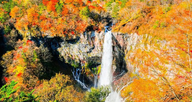Explore the National Parks of Kanto to Discover Spectacular Nature Not ...