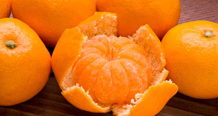 Don't Miss Them If You're In Japan! Eight Recommended Fruits | tsunagu ...