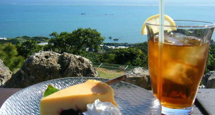 5 Things You Should Do During Spring in Okinawa | tsunagu Japan