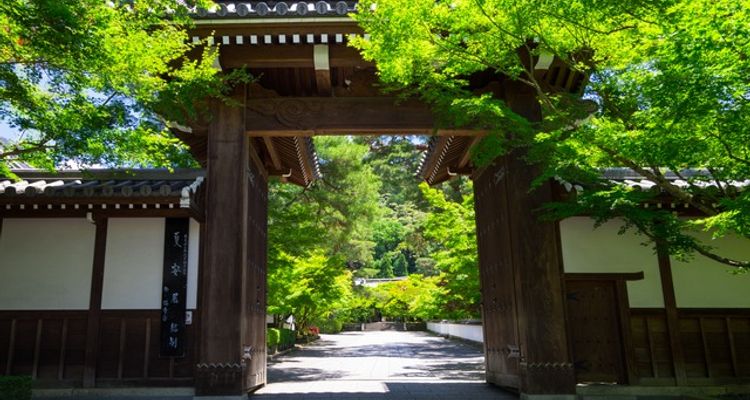 Five Recommended Spots in Kyoto with Beautiful Green Maple Trees that ...