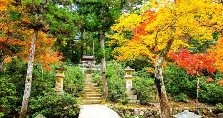 The Best Places to Enjoy the Fall Foliage! Five Recommended Spots in ...