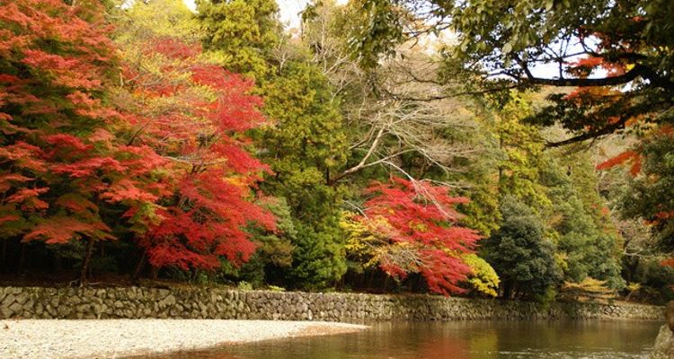 Stunning Views of Autumn! 5 Spots in Tokai Region for Gorgeous Autumn ...