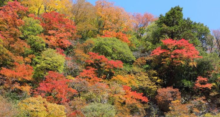 A Treasure Trove of Fabulous Views! Five Recommended Must-See Spots for ...