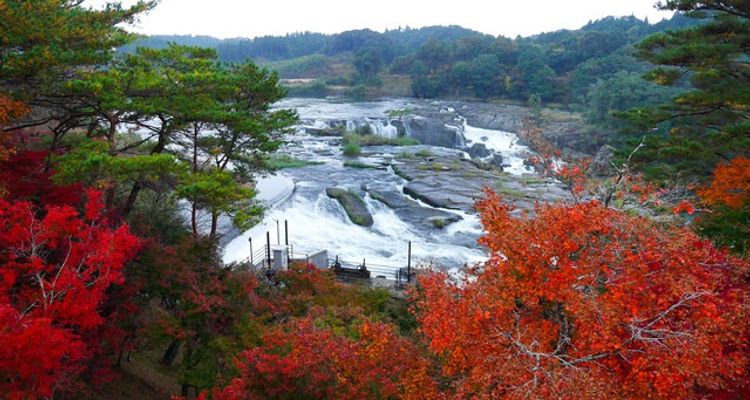 Enjoy the Beautiful Japanese Fall! Five Recommended Spots in Kyushu to ...