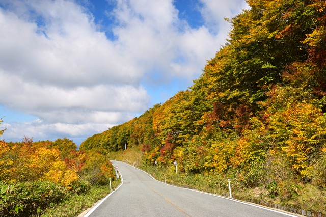 Visit in the Autumn! 5 Recommended Spots for Autumn Foliage in Sendai ...