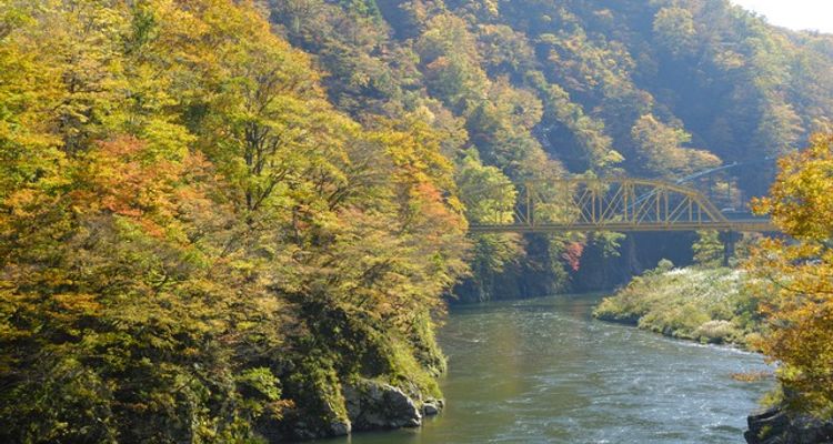Enjoy the Fall Scenery! Five Recommended Spots to See the Foliage in ...