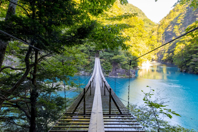 Top 5 Photogenic Bridges Across Japan | tsunagu Japan