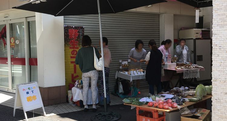 Chock Full of Fresh Ingredients! Five Popular Farmers' Markets in Tokyo ...