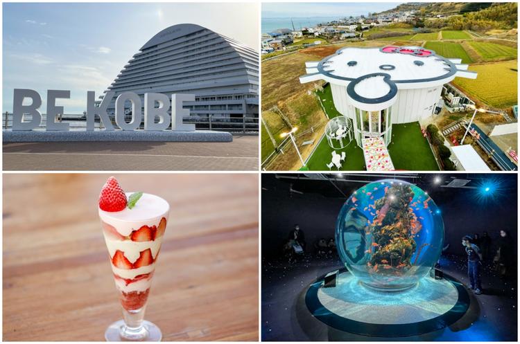 Hyogo Highlights: History, Culture, and Gourmet Food Wrapped Up in Kobe ...