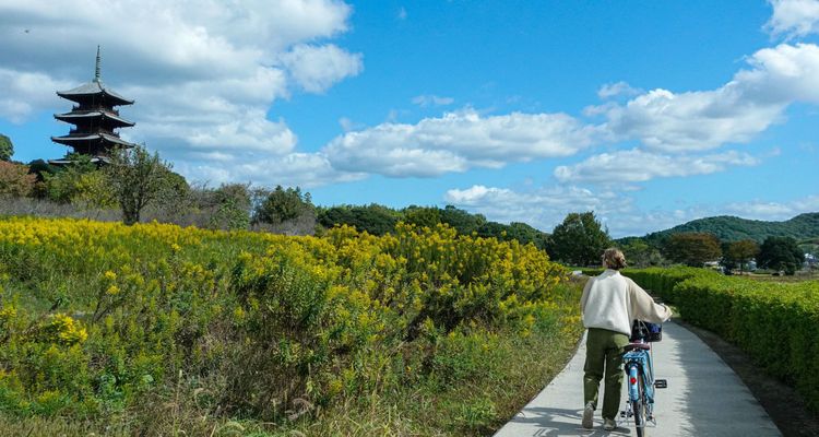 Experience an Adventurous Journey Through Setouchi - Japan’s Land of ...