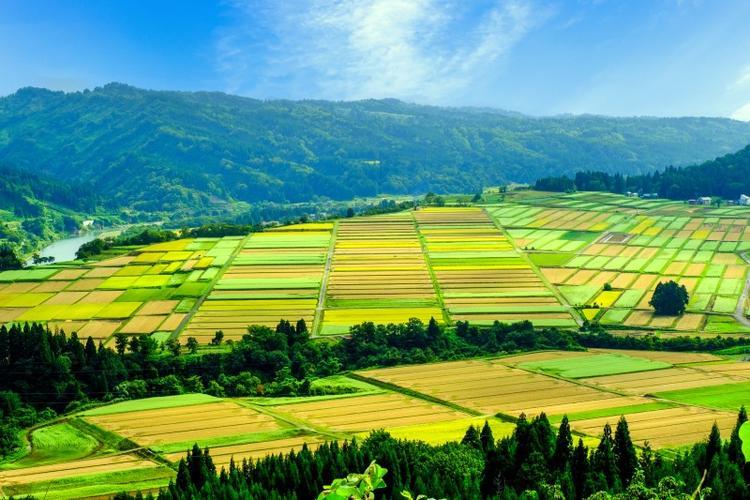 Ojiya - Pristine Snowmelt and the World’s Largest Fireworks | tsunagu Japan