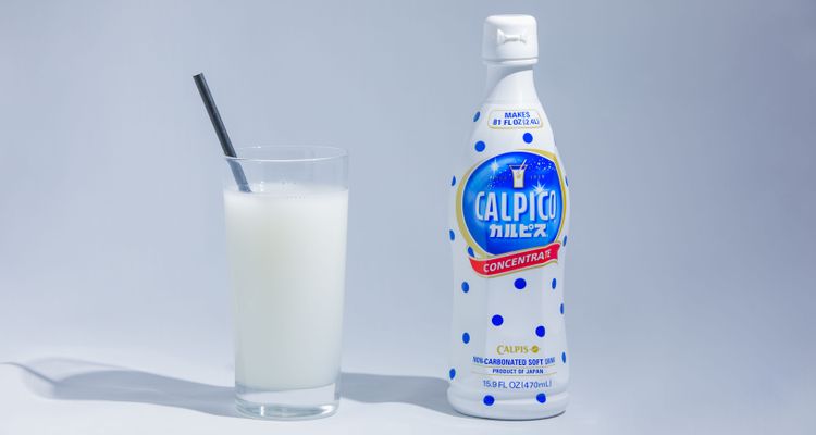 9 sự thật thú vị có thể bạn chưa biết về Calpis (hay Calpico) | tsunagu ...